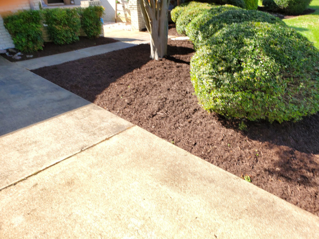 Commercial Landscaping, Virginia Beach, VA | ZTV Landscaping [Infographic]