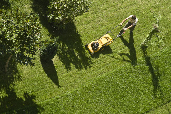 Commercial Lawn Mowing, Virginia Beach, VA | ZTV Landscaping