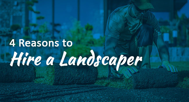 4 Reasons to Hire a Landscaper [infographic] | ZTV Landscaping