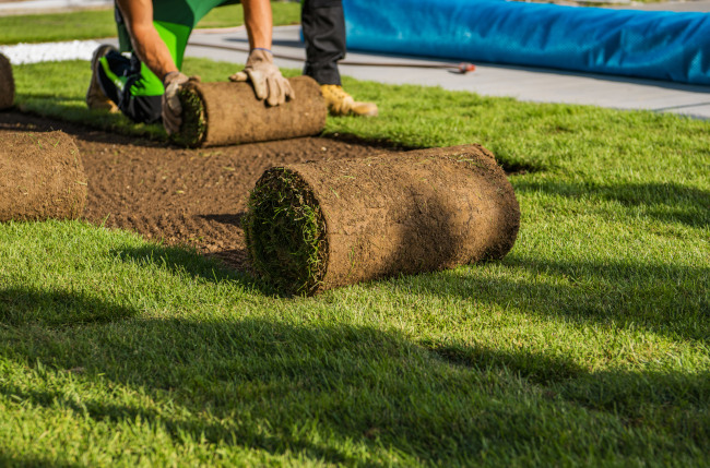 Sod Installation, Virginia Beach, VA | ZTV Landscaping